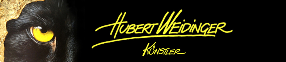 Hubert Weidinger - Home